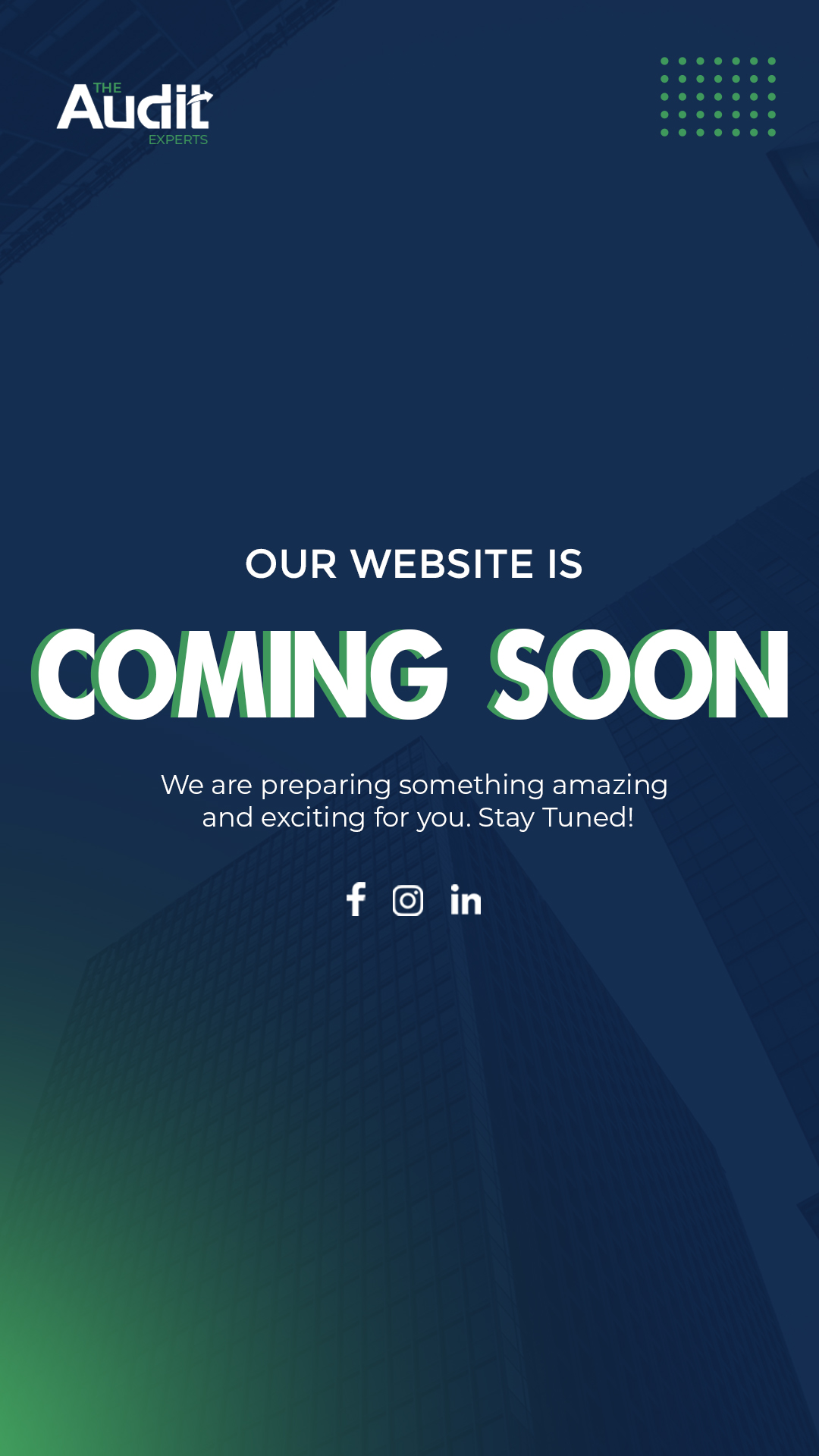 Need an Audit? Choose TheAudit Experts!