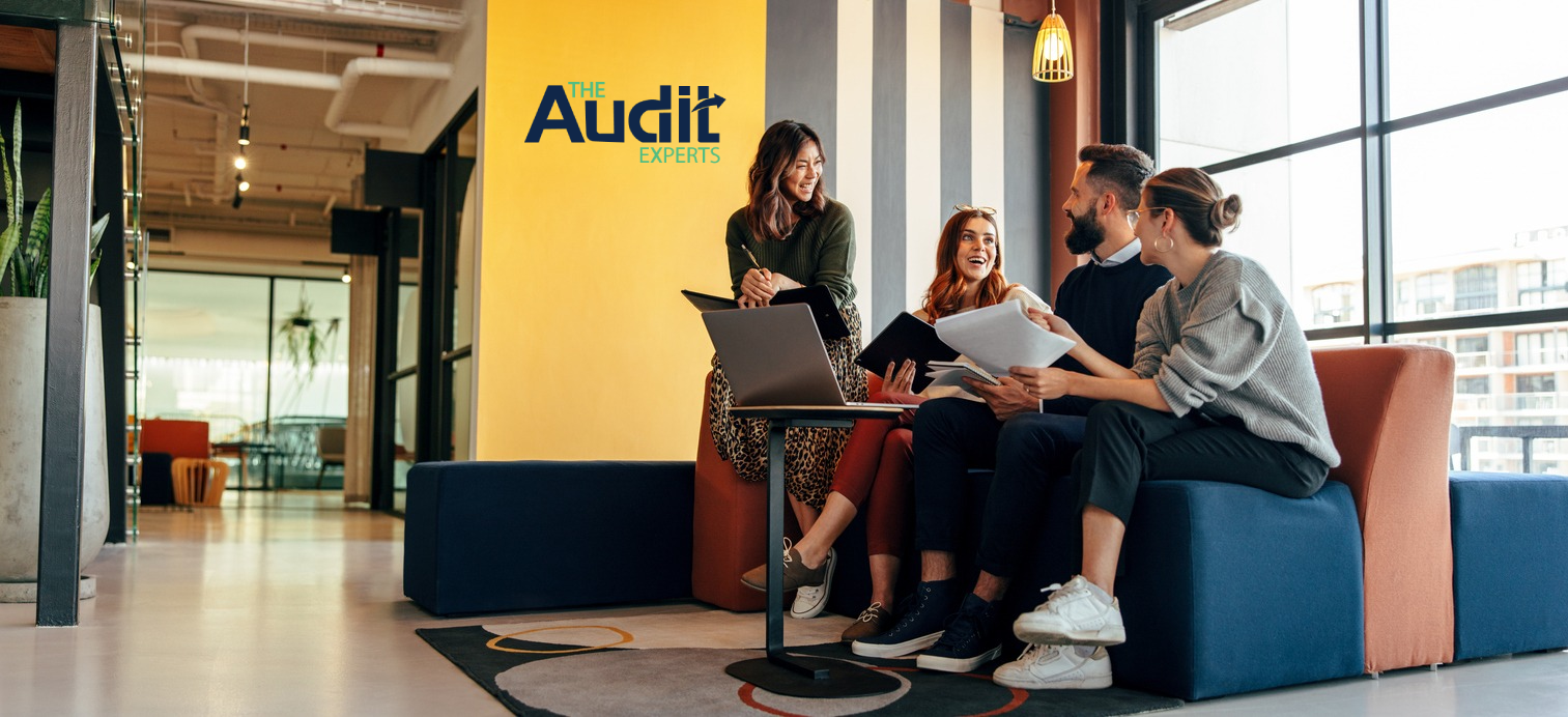 Meet the Team Top Audit Experts from Big 4 and Top 20 Firms