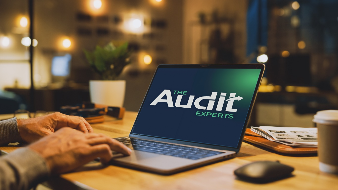 The Audit Experts