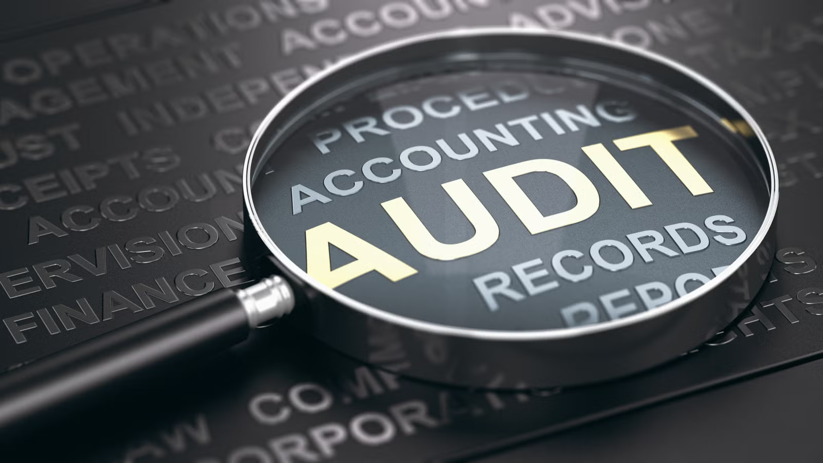 AUDIT FIRMS For auditors facing growing complexity, seasonal