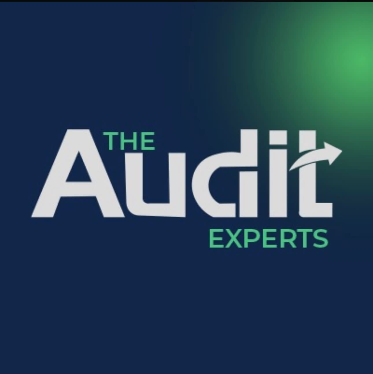 Need an Audit? Choose TheAudit Experts!